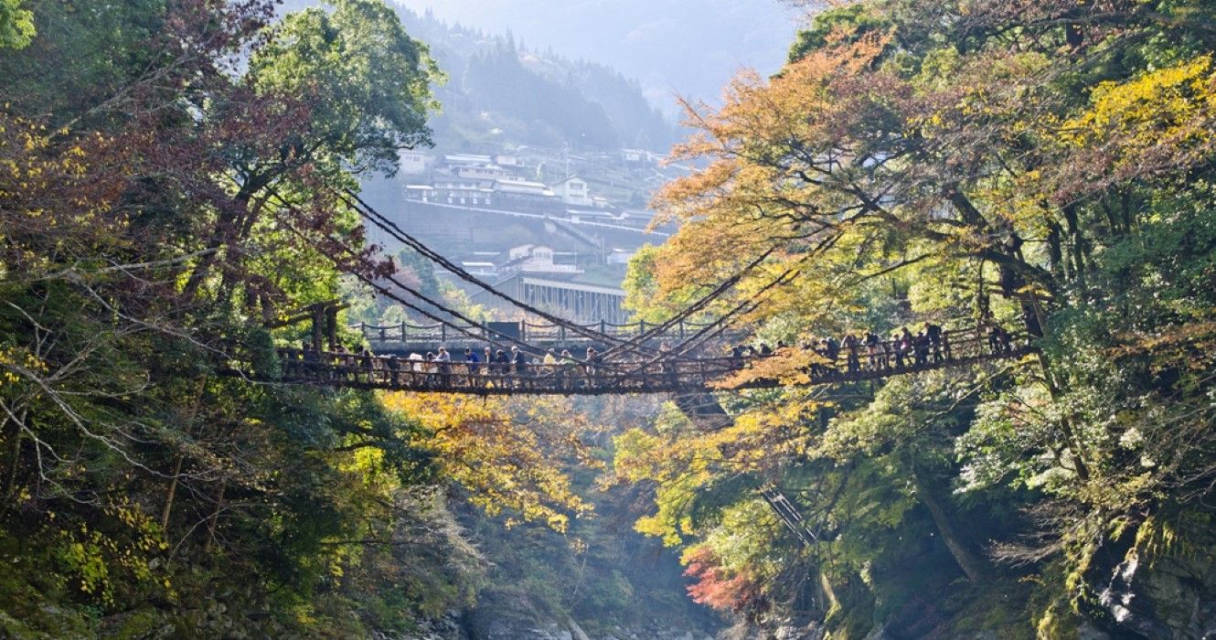 Here's Why The Swaying Vine Bridges Of Japan's Iya Valley Are Worth The ...