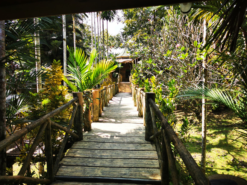 This Borneo Rainforest Resort Is Backpacker Friendly & Has A Jungle ...