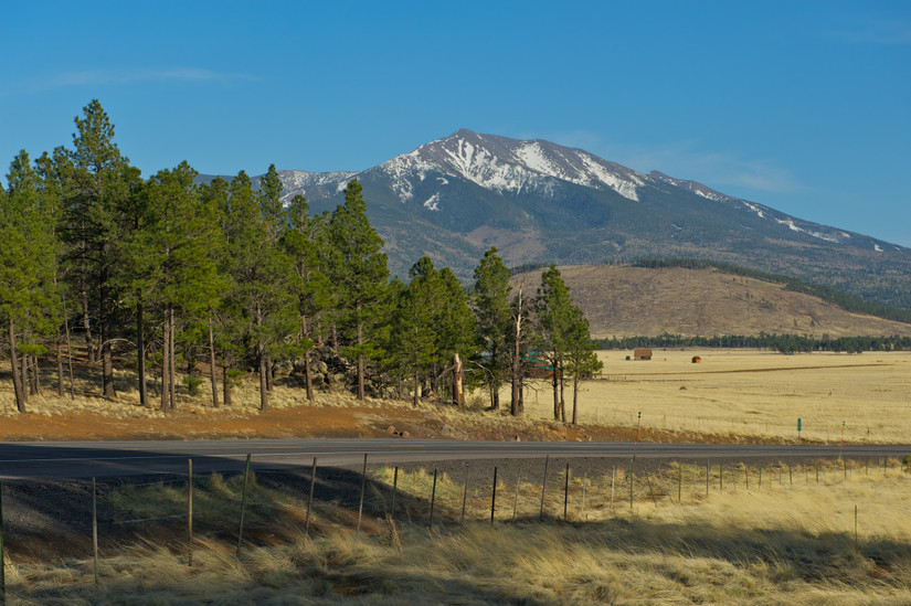 Finding Fun In Flagstaff: The Ultimate Travel Guide & Things To Do There