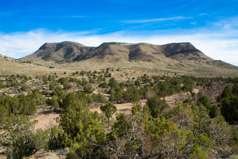 Nature Lovers In Nevada: The Ultimate Travel Guide To Alamo & Things To Do
