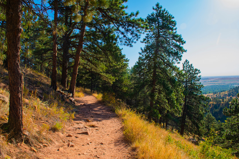 Heart Of The Mountains: The Ultimate Guide To Boulder & Things To Do