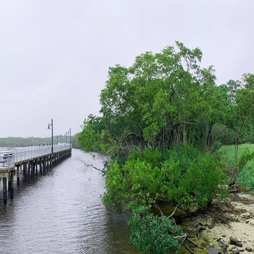 13 Things To Do In Port St. Lucie: Complete Guide To Florida's Treasure ...
