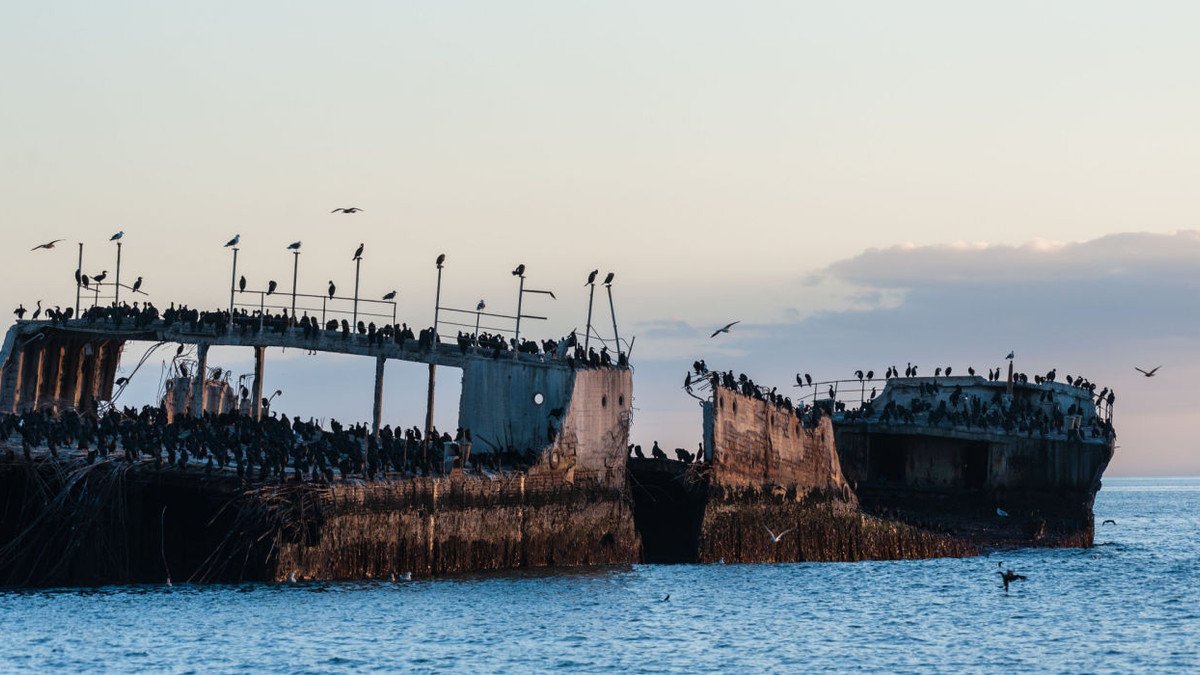 One Of Santa Cruz's Most Unusual Attractions Is The Concrete Wreck, SS ...