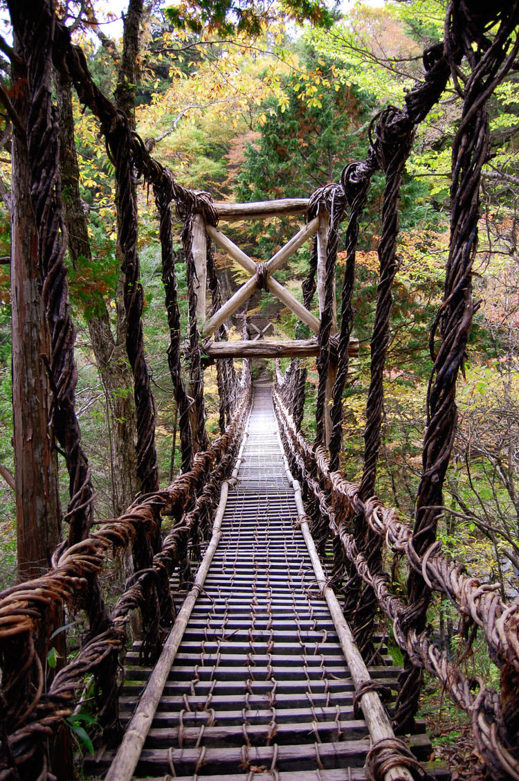 Here's Why The Swaying Vine Bridges Of Japan's Iya Valley Are Worth The ...