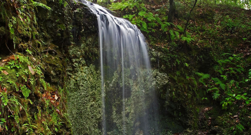 You Don't Even Need To Hike (Far) To Reach Florida's Tallest Waterfall