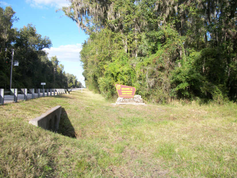This Challenging Florida Hiking Trail Exists Not Far From Tampa, Here's ...