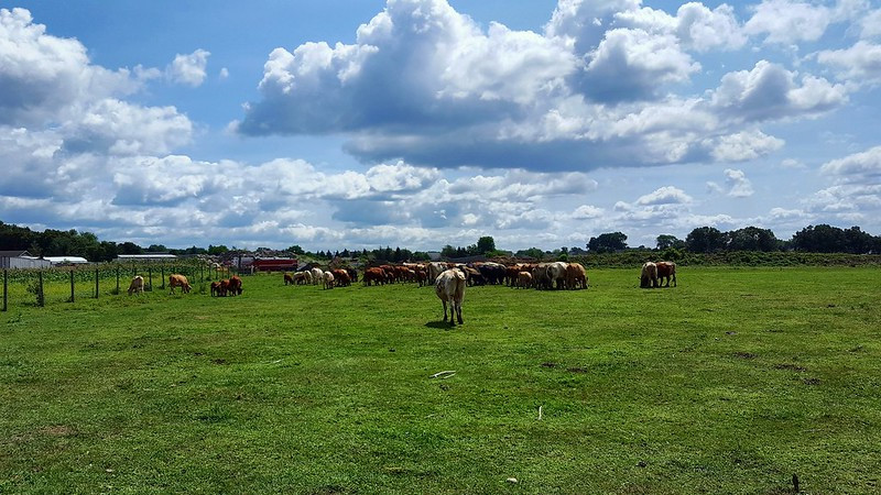 Where To Find The Best Local Dairies In Upstate New York