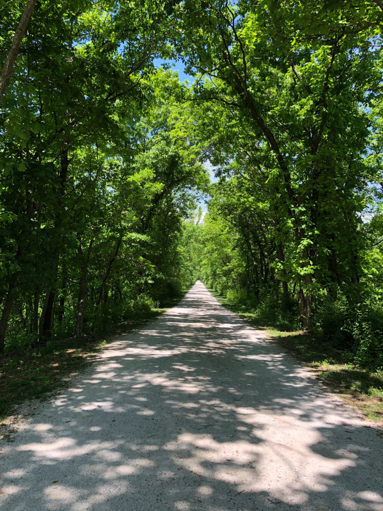A Wild History: The Ultimate Guide To Lee's Summit & Things To Do