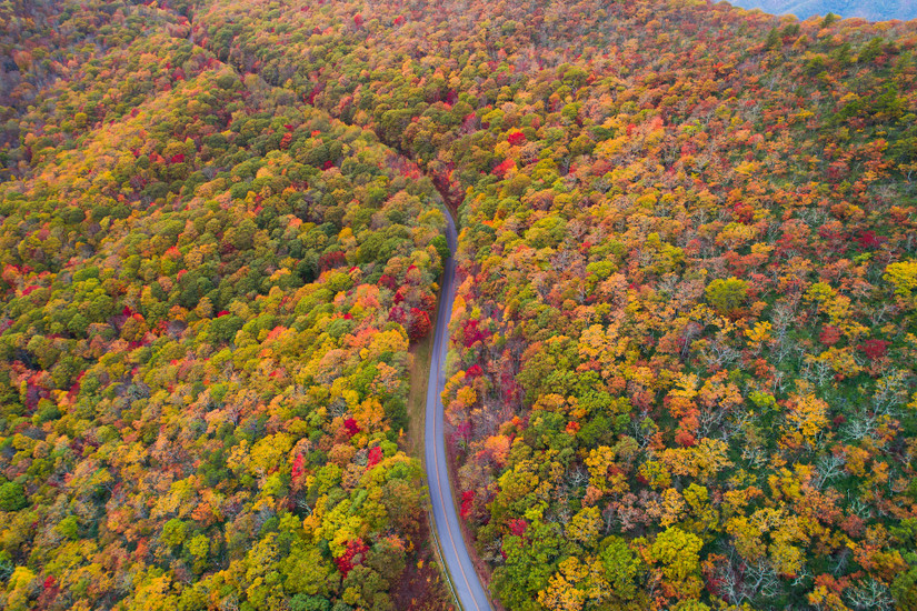 10 Scenic Drives That Show Off The Best Fall Foliage On The East Coast