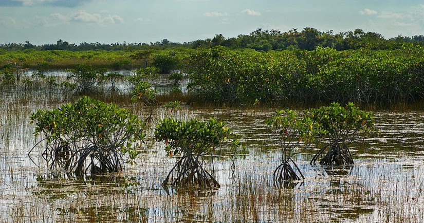 14 Incredible Things Miami, Florida, Is Known And Famous For