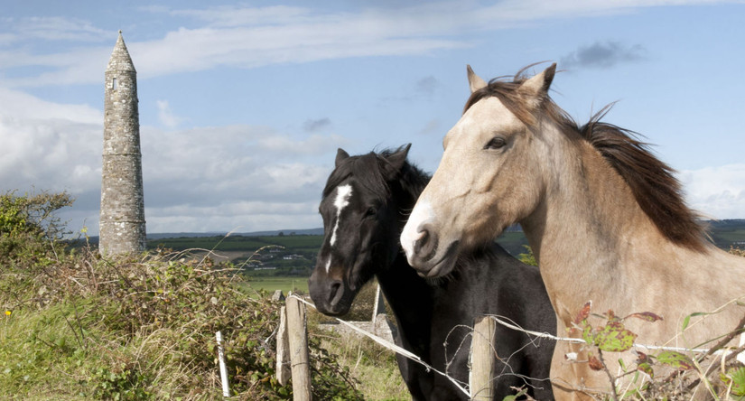 What To Know Of The Irish Round Towers: Ireland's Unique Contribution ...