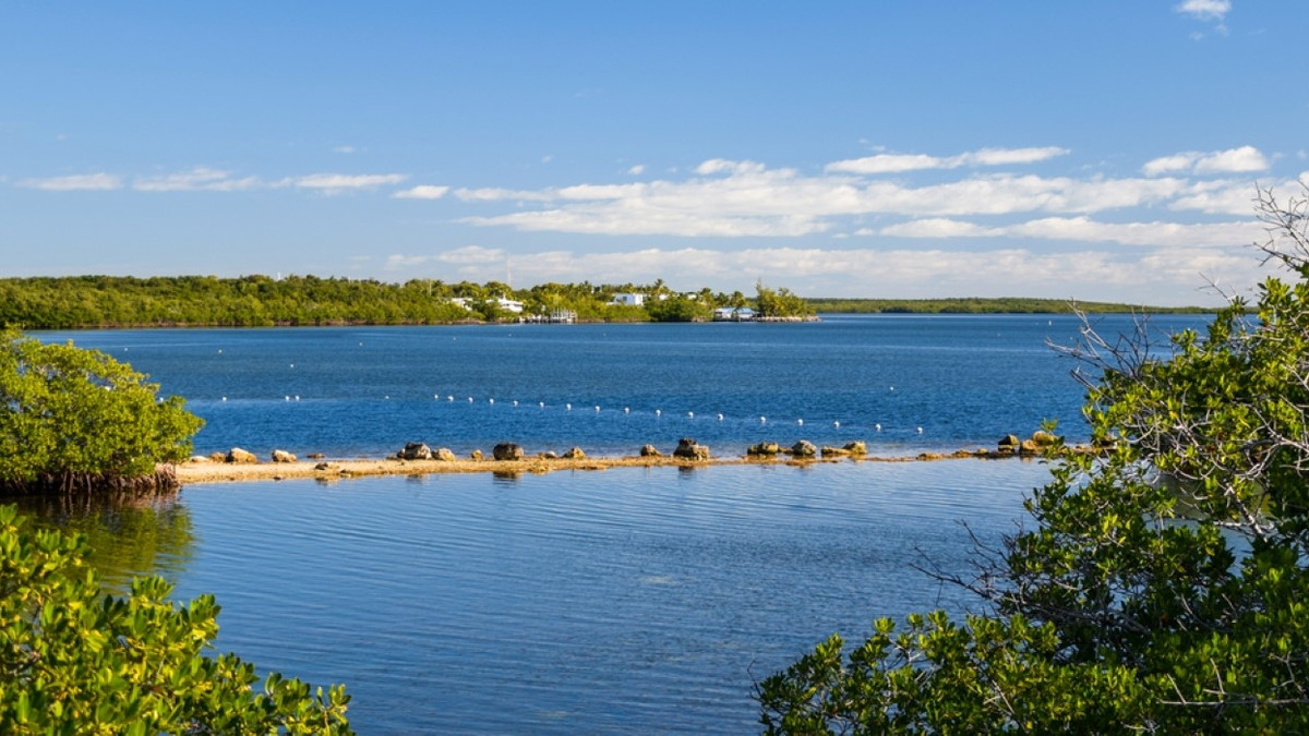 10 Natural Attractions In Florida That Will Change How You See The State