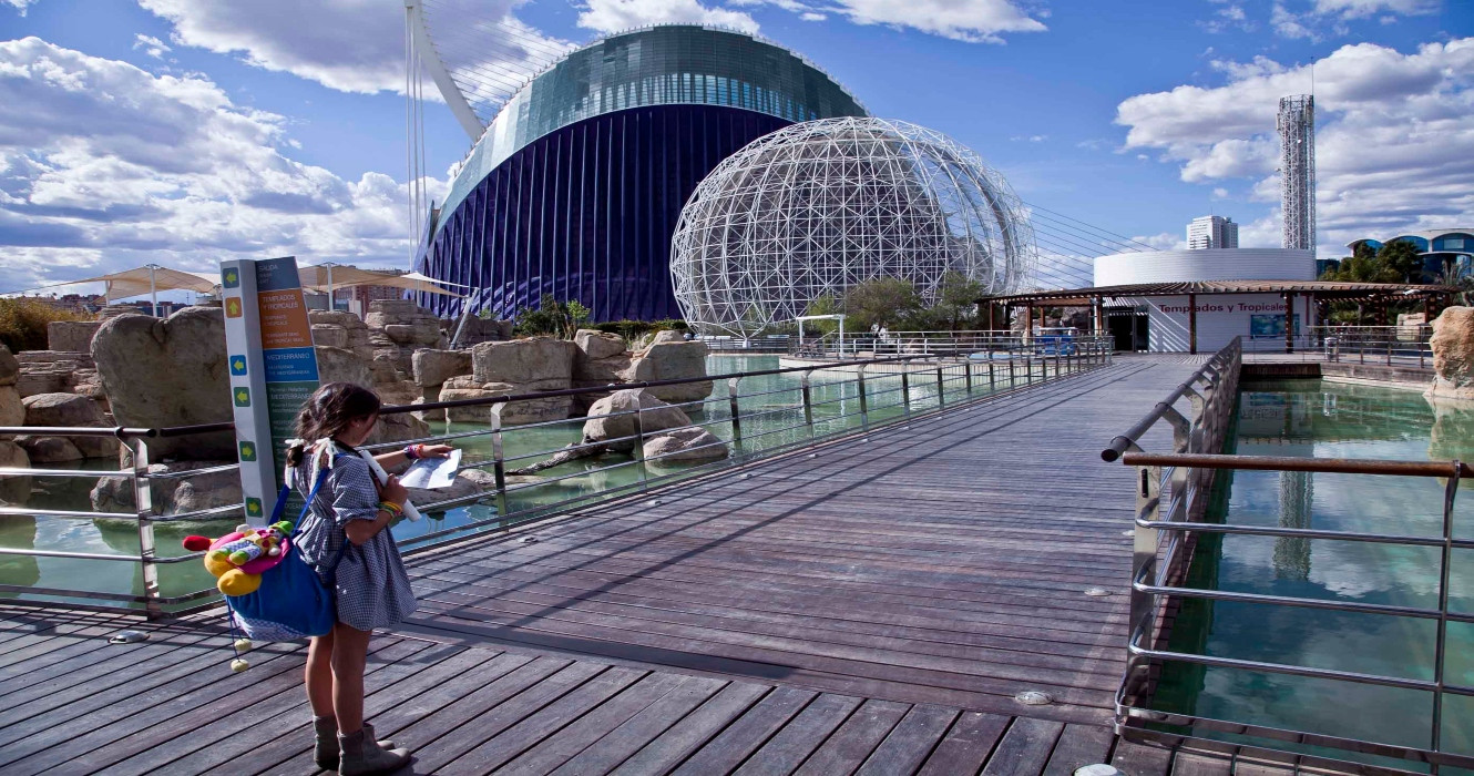 14 Best Bucket-List Aquariums In The World