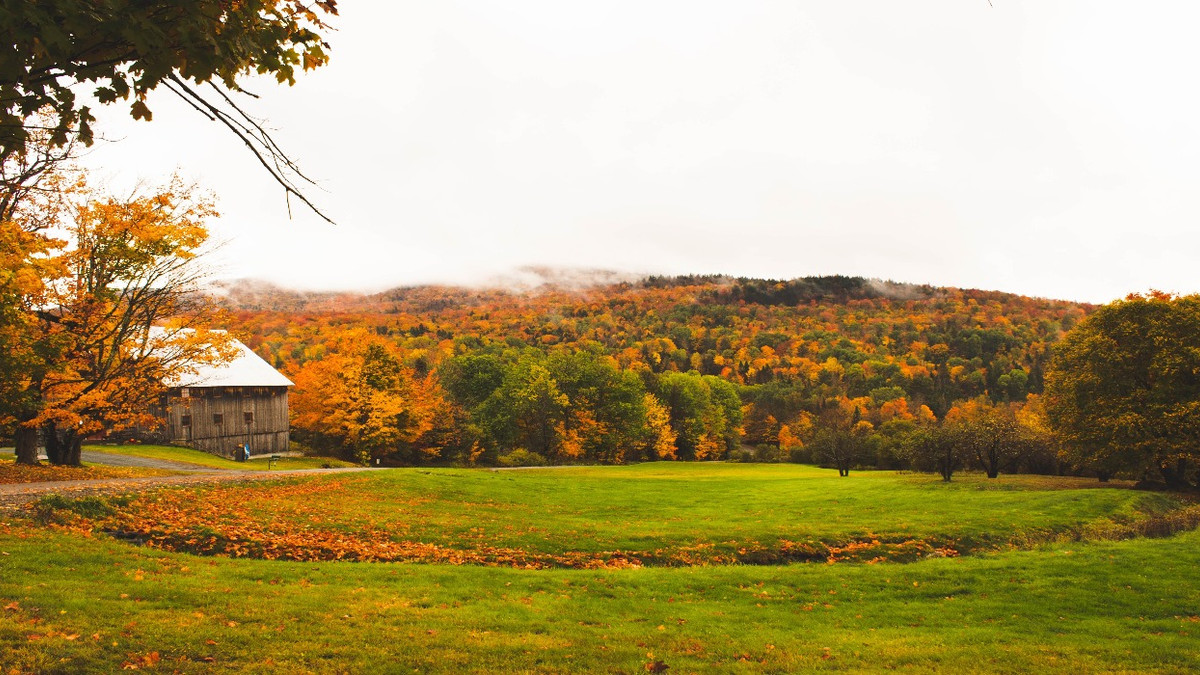 Savor The Flavors Of Vermont: A Culinary Journey Through Farm-To-Table ...