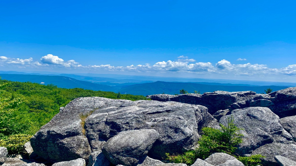 Iconic Landmarks You Need To See When Visiting Virginia