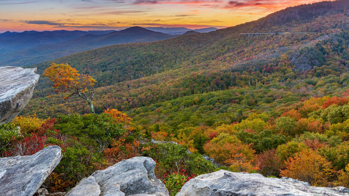 Visit The Famous Lion King Rock In North Carolina's Rough Ridge