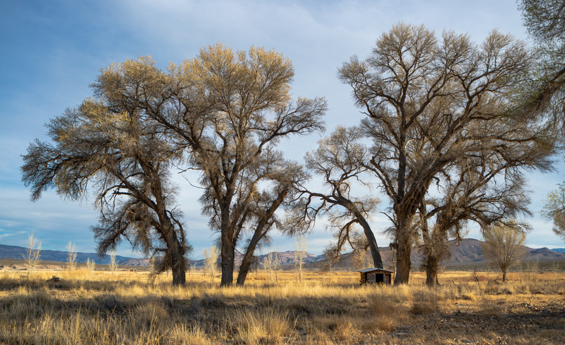 Nature Lovers In Nevada: The Ultimate Travel Guide To Alamo & Things To Do