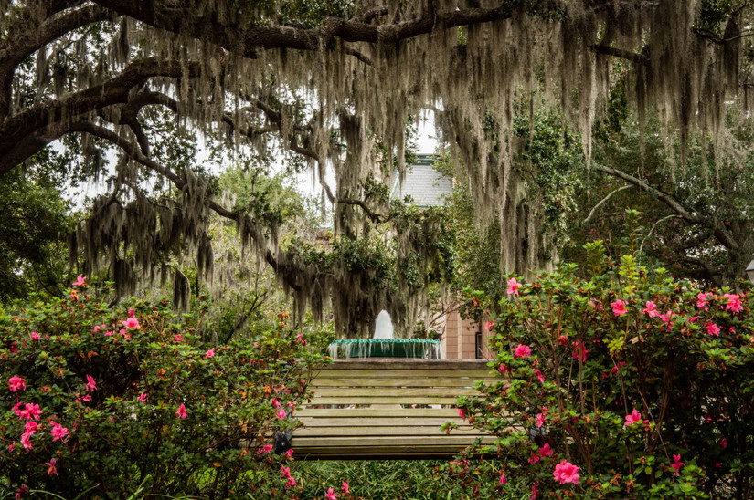 The Beauty Of Savannah's Squares: Oasis Of Charm & Serenity In The ...