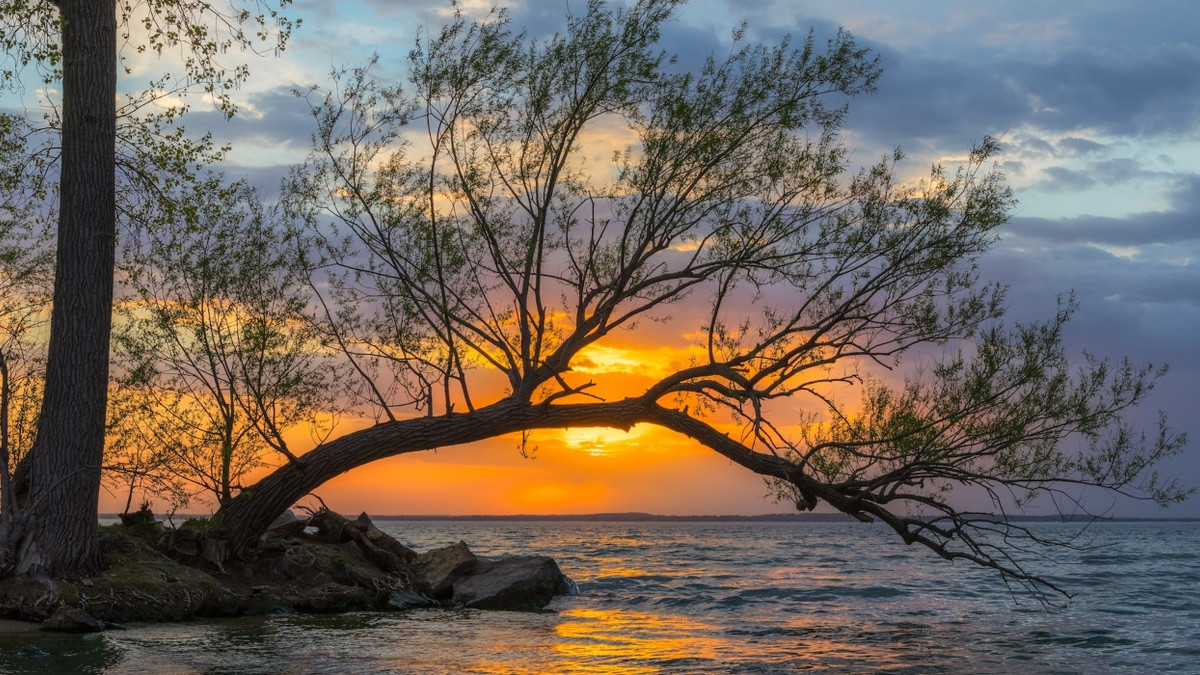 Exploring The Capital City: The Ultimate Travel Guide To Madison ...
