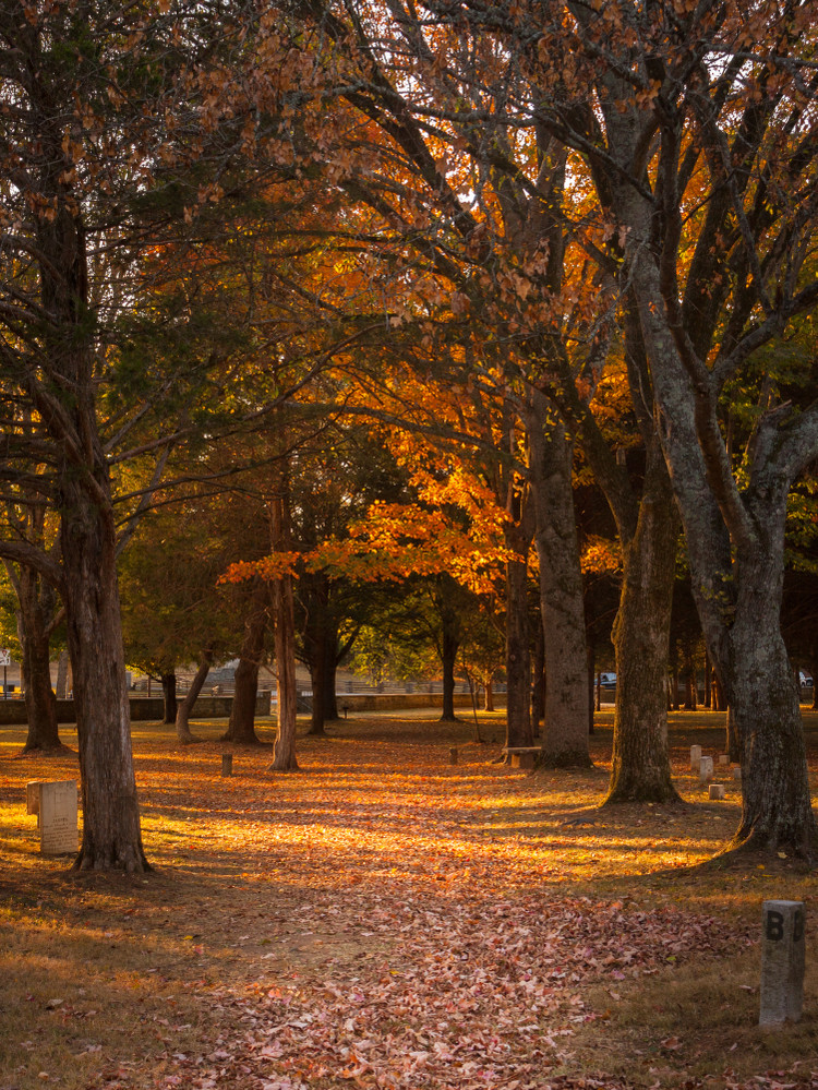 12 Things To Do In Murfreesboro: Complete Guide For A Trip Back In Time