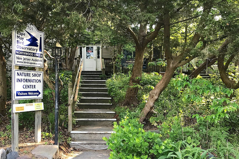 16 Things To Do In Cape May: Complete Guide To The Beachside Victorian ...