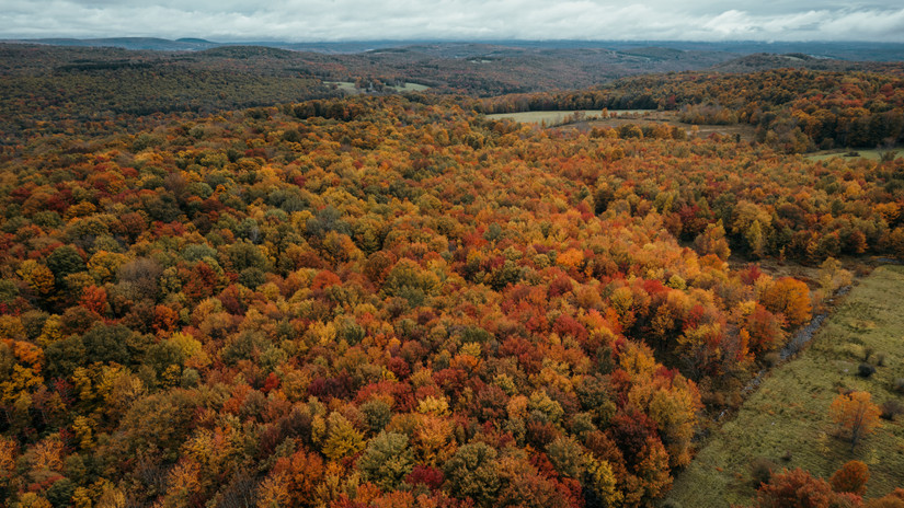 From Waterfalls To Wildlife: Exploring The Catskill Mountains Scenic ...