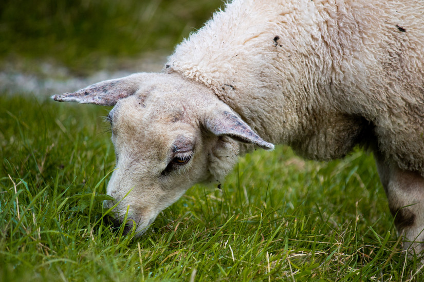 10 Vacation Spots In Ireland That Won't Break the Bank