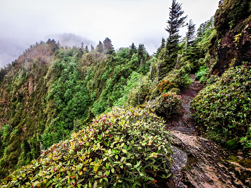10 Most Beautiful Hikes In The U.S.