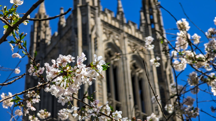 8 Things To Do In Durham: Complete Guide To North Carolina's Foodie ...