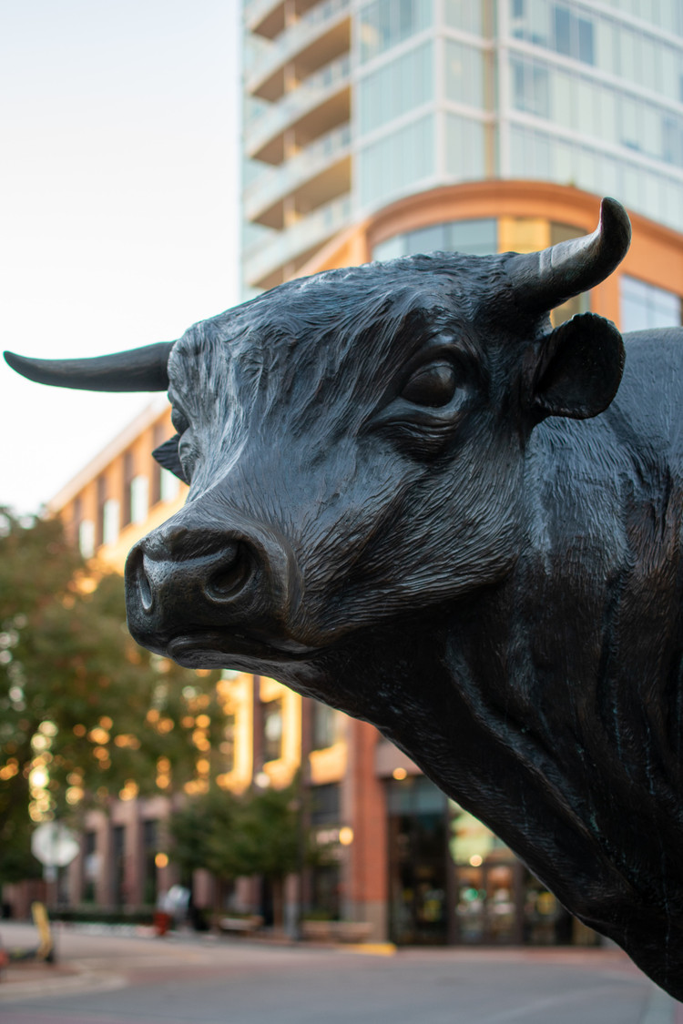 8 Things To Do In Durham: Complete Guide To North Carolina's Foodie ...