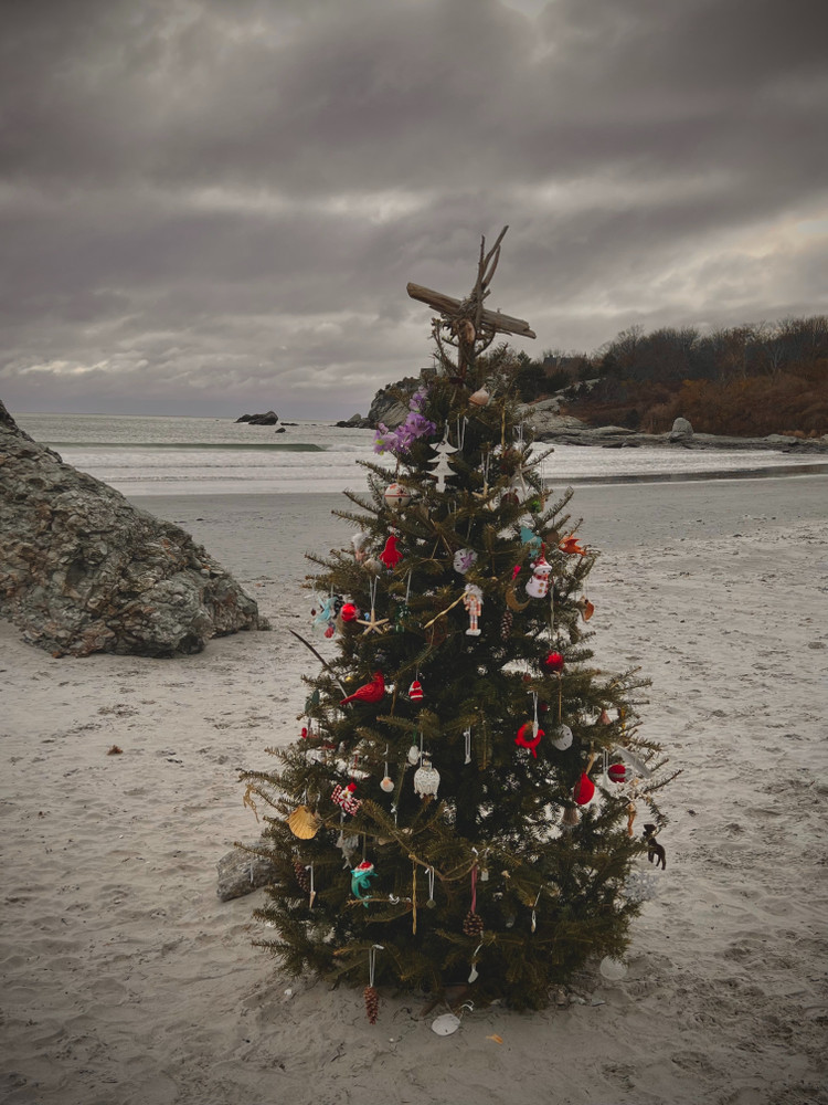 18 Things To Do In Newport: Complete Guide To The Timeless Charm Of The ...