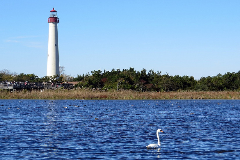 16 Things To Do In Cape May: Complete Guide To The Beachside Victorian ...