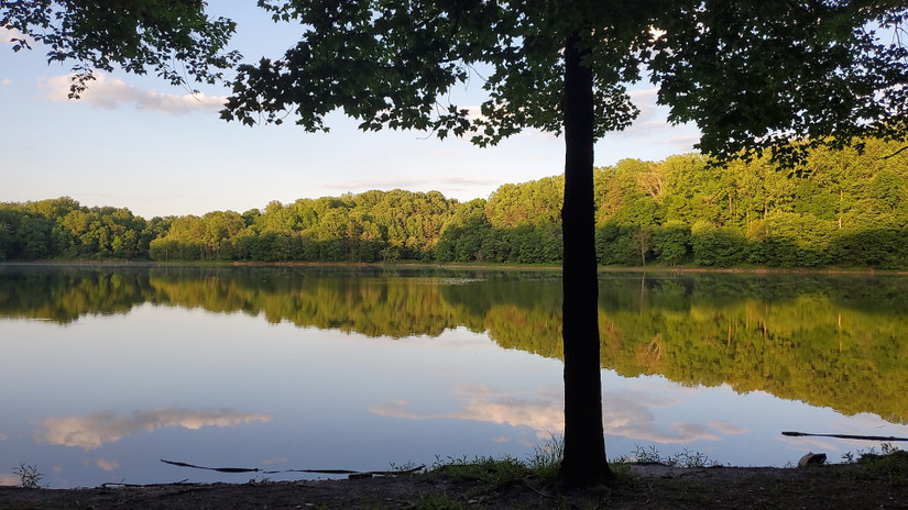 8 Things To Do In Rockville: Complete Guide From Museums To Historic Parks