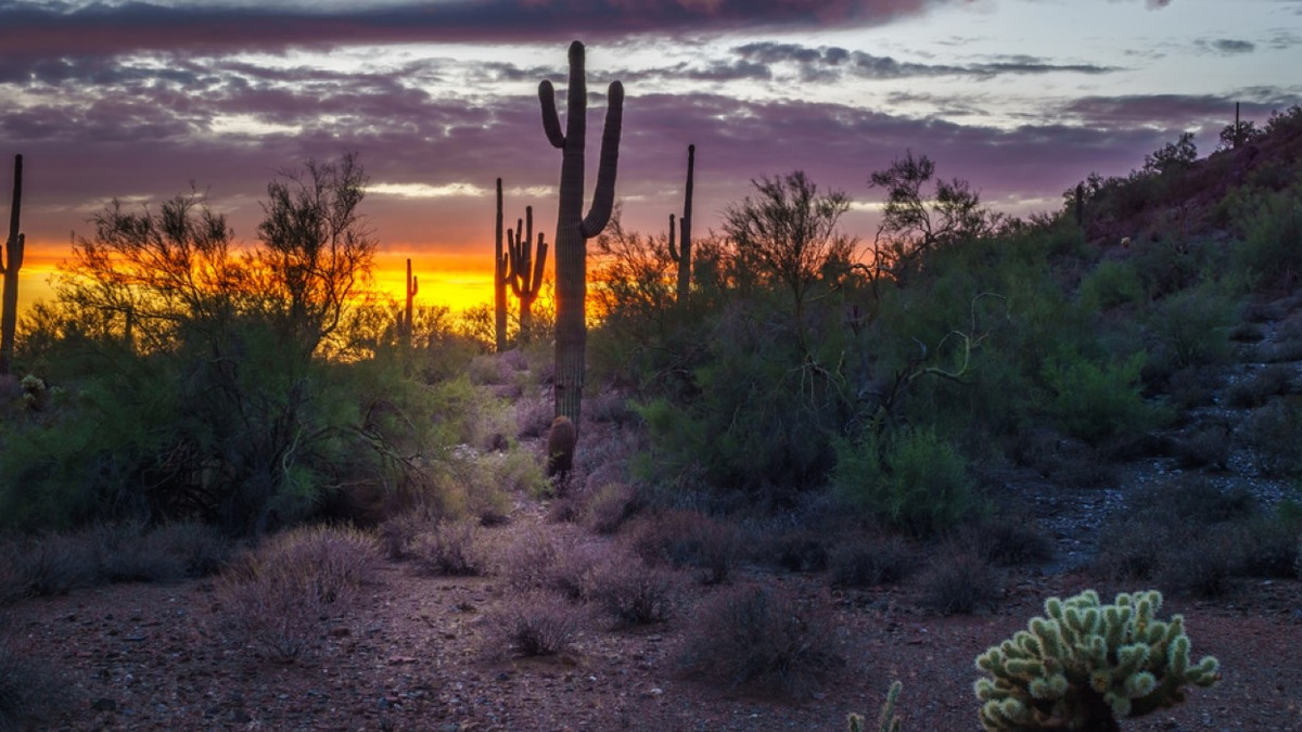Here's What Phoenix, Arizona, Looks Like In Winter (& Why You Should Visit)