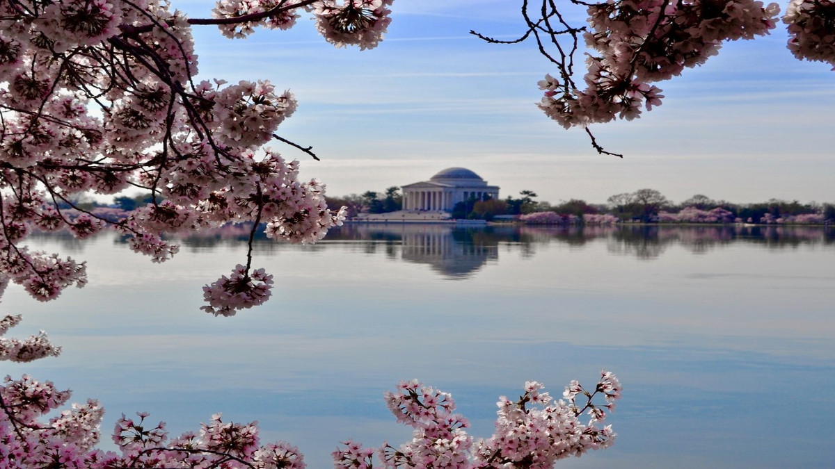 10 Reasons Washington DC Should Top Your Spring Travel Bucket List