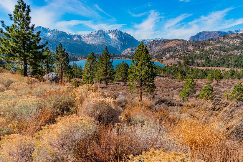 June Lake Loop: A Journey Through Eastern Sierra's Hidden Gem