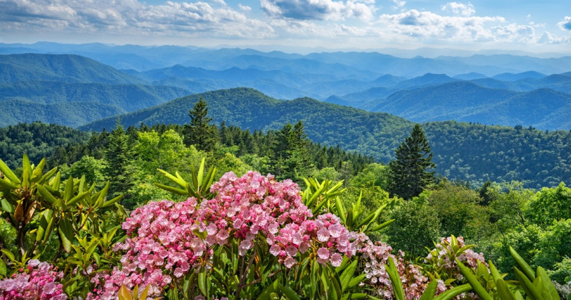 Discovering The Beauty Of The Blue Ridge Scenic Highway: A Scenic Drive ...