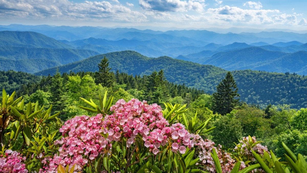 10 Best Activities to Do In April In The Smoky Mountains