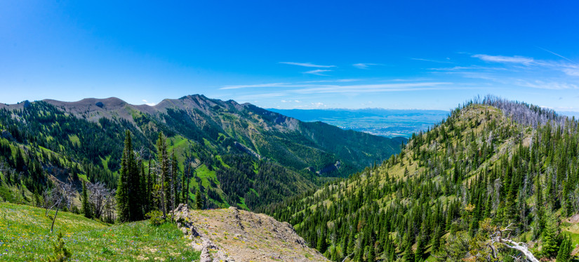 10 Best Places To Witness The Beauty Of Spring In Montana