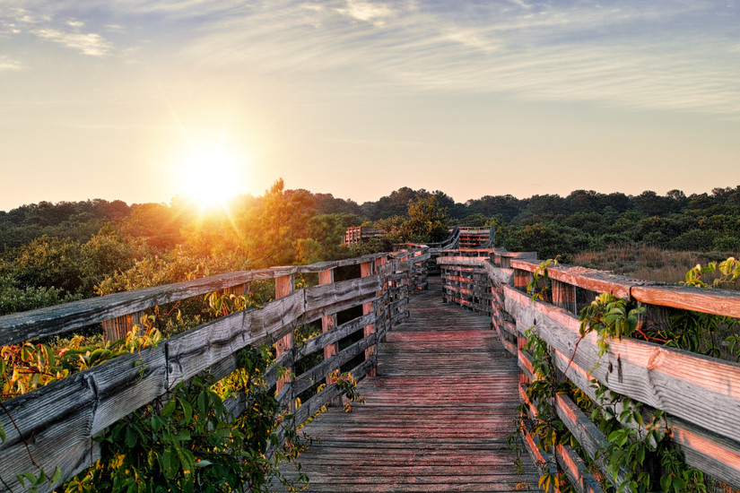 12 Best Boardwalks In America, Ranked By Fun-Factor