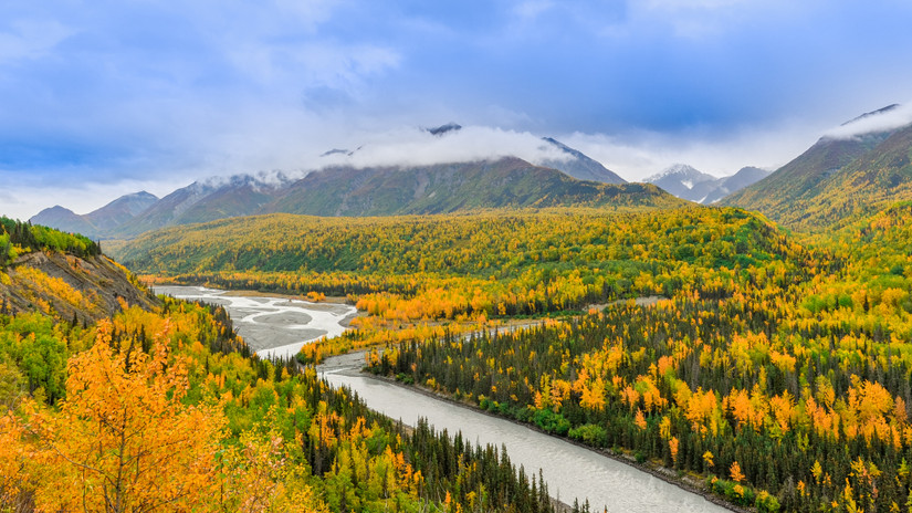 All The Best Kept Local Food And Drink Secrets In Anchorage, Alaska