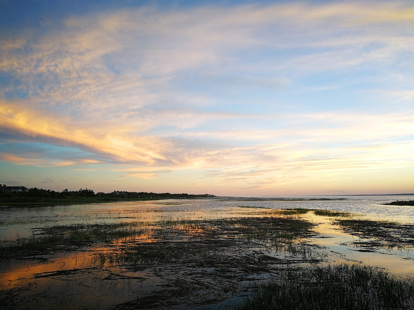 11 Things To Do In The Hamptons: Complete Guide To New York's Luxe ...