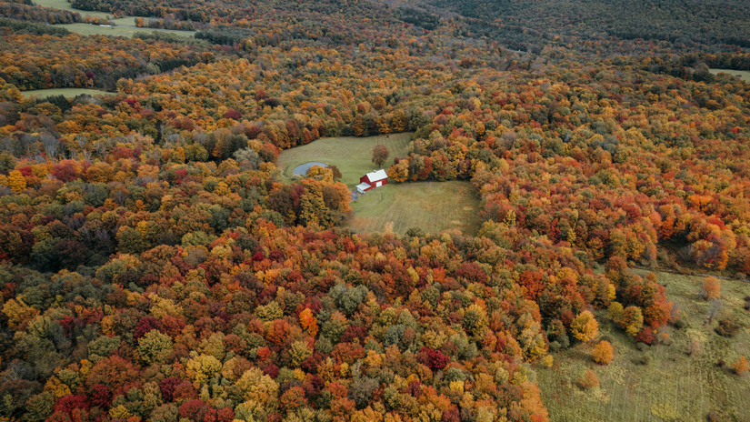 Skip The Adirondacks: 10 Fun Things To Do In The Catskills During The ...