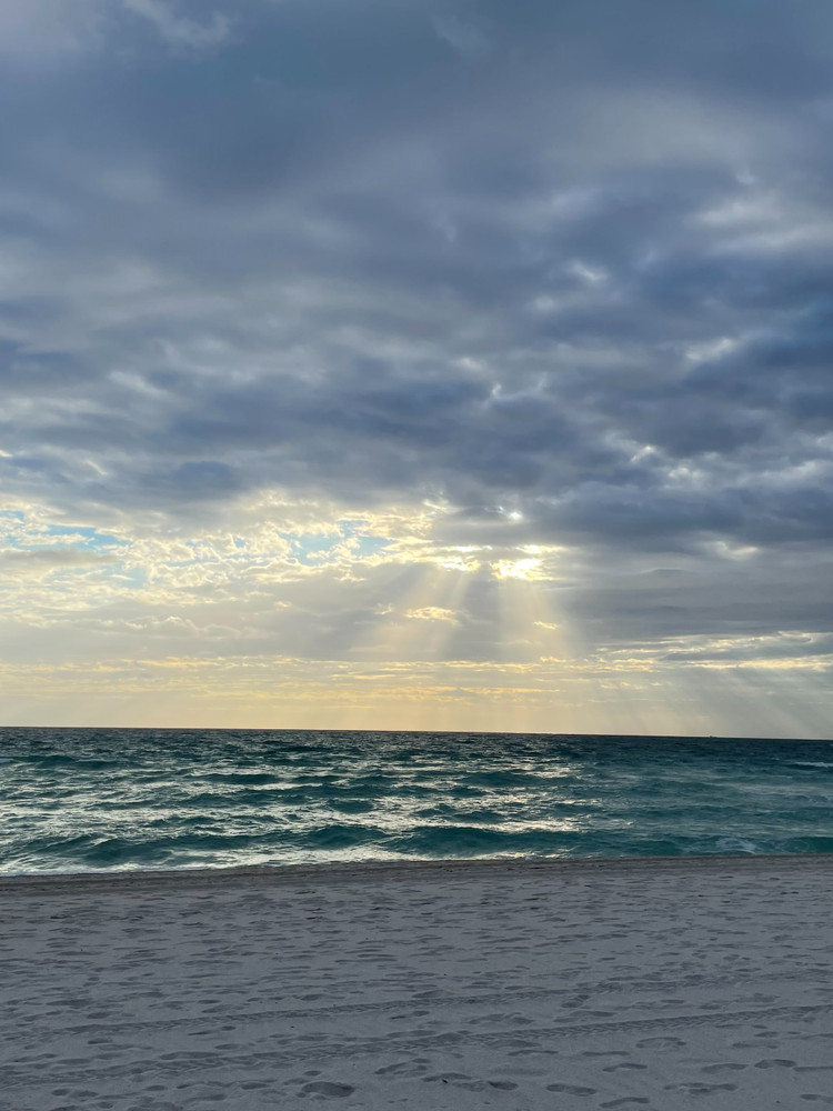10 Affordable Yet Highly Rated Miami Hotels Where You Can Enjoy Luxury ...