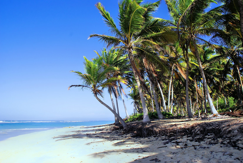 16 Best All-Inclusive Family Resorts In The Dominican Republic