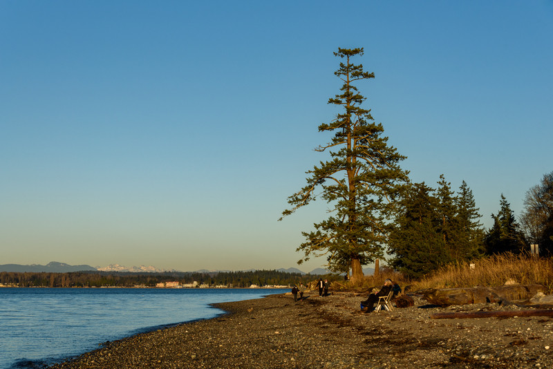 10 Parks In Washington That Offer Scenic Mountain Views With Minimal Hiking