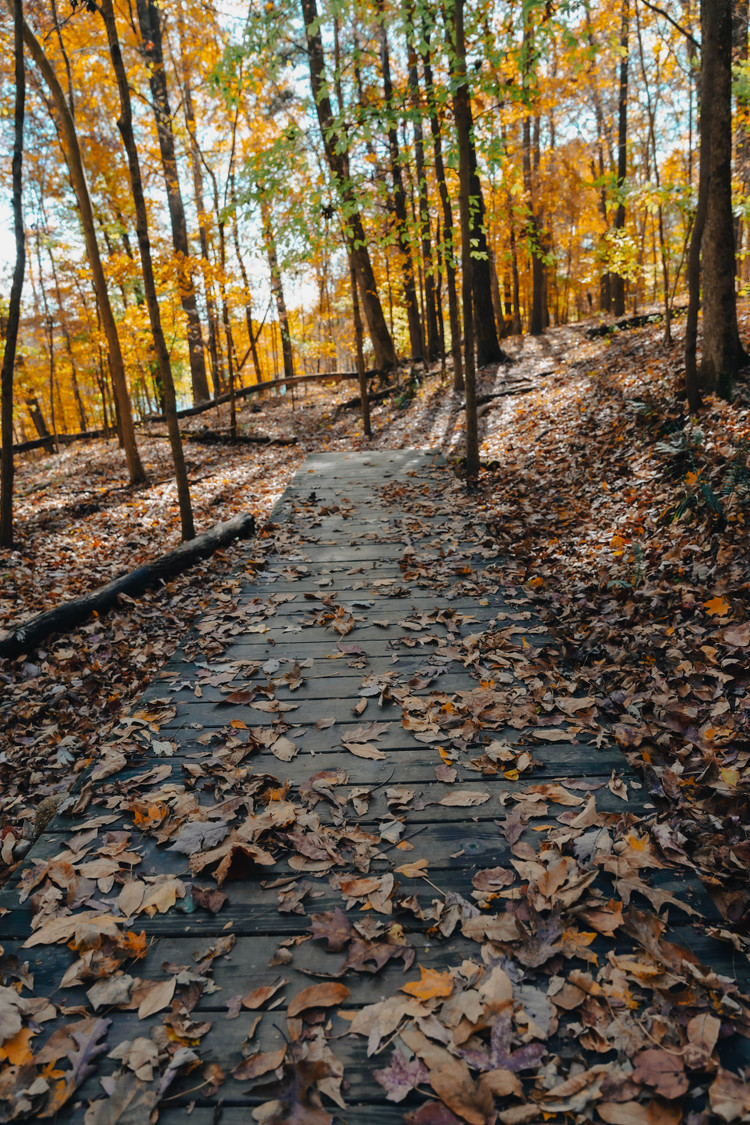 10 Caves & Caverns You Should Explore In New York State