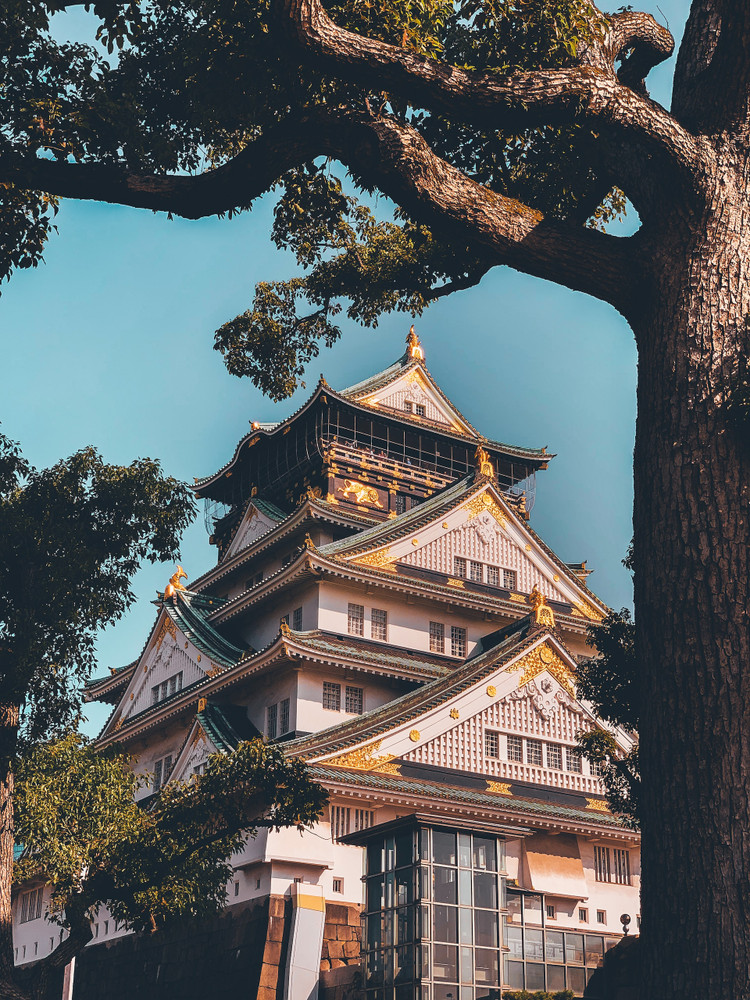 10 Incredible Castles In Japan To Add To Your List