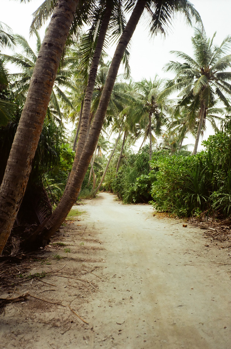 10 Most Beautiful Beaches In The Maldives You Need To See To Believe