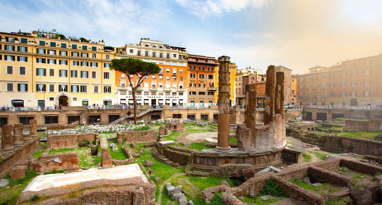 Tiger Largo Argentina Rome